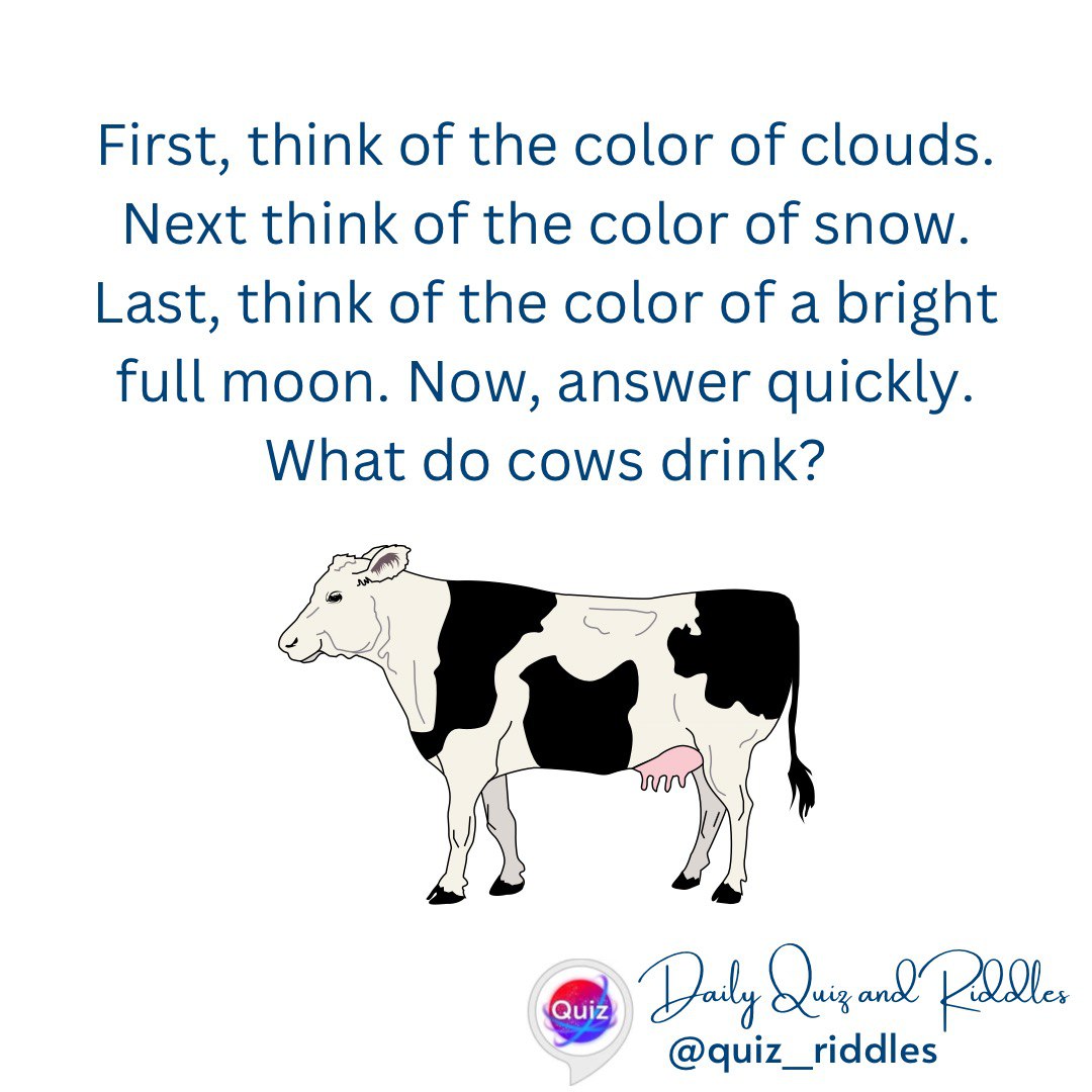 What Do Cows Drink Brain Teaser Daily Quiz And Riddles